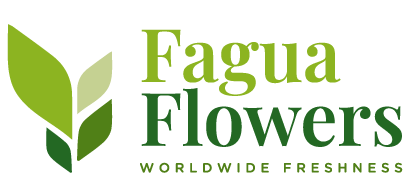 Mass Market | Fagua flowers